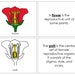 Parts of a Flower Nomenclature Book - Montessori Botany (digital ...