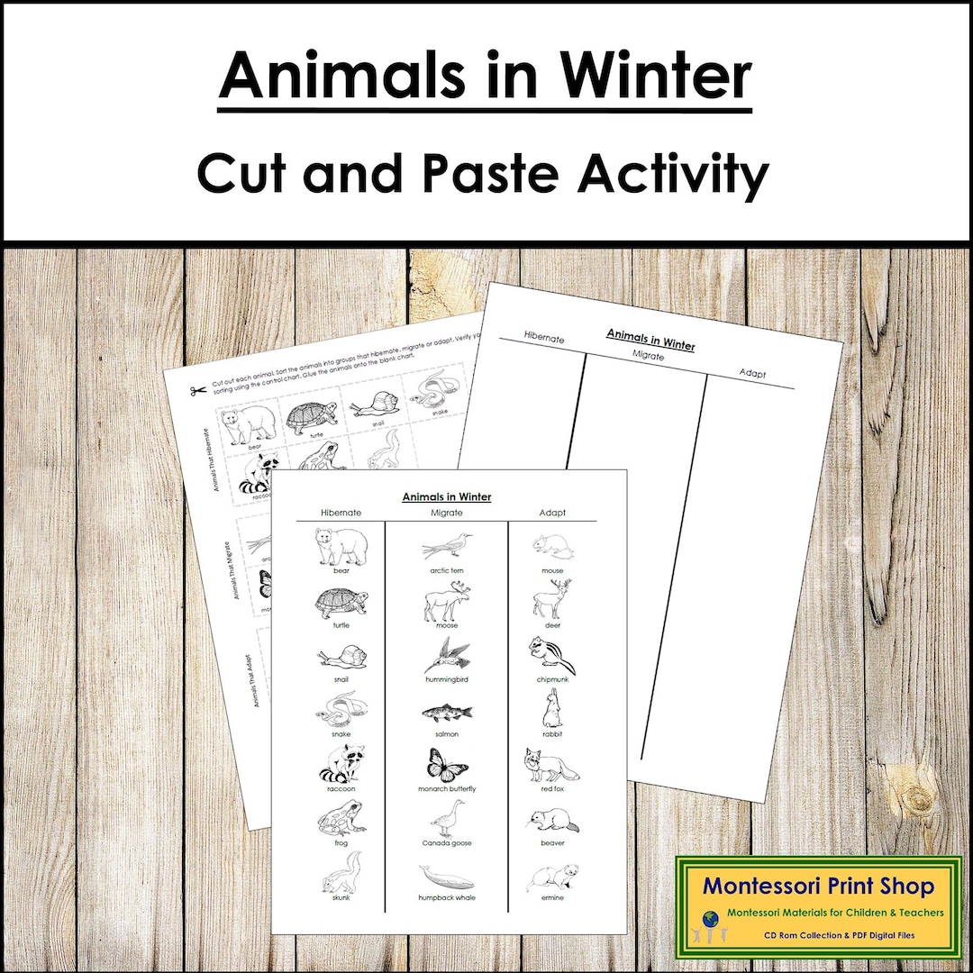 Animals in Winter Sorting Cut & Paste Activity [blackline Masters ...