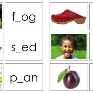 CCVC Missing Consonant Cards - Montessori Language - Printable ...