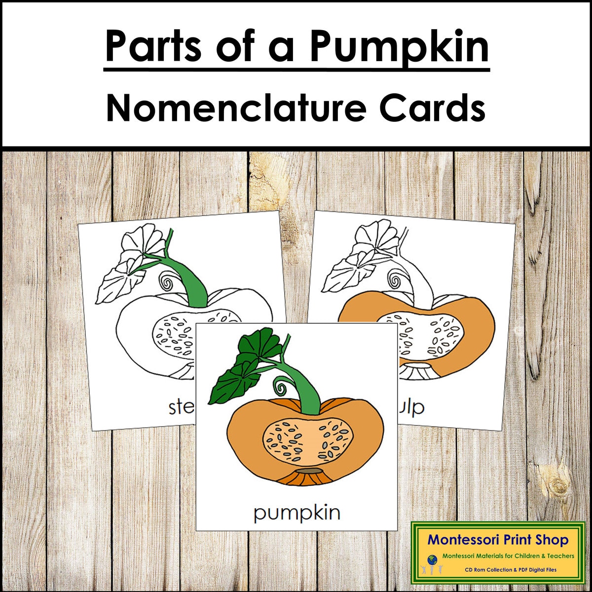 Parts of a Pumpkin Nomenclature 3-part Cards Montessori Botany ...
