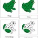 Parts of a Frog Nomenclature 3-part Cards & Blackline Master ...