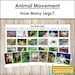 Animal Movement Sorting Cards & Chart [how Many Legs?] - Montessori ...