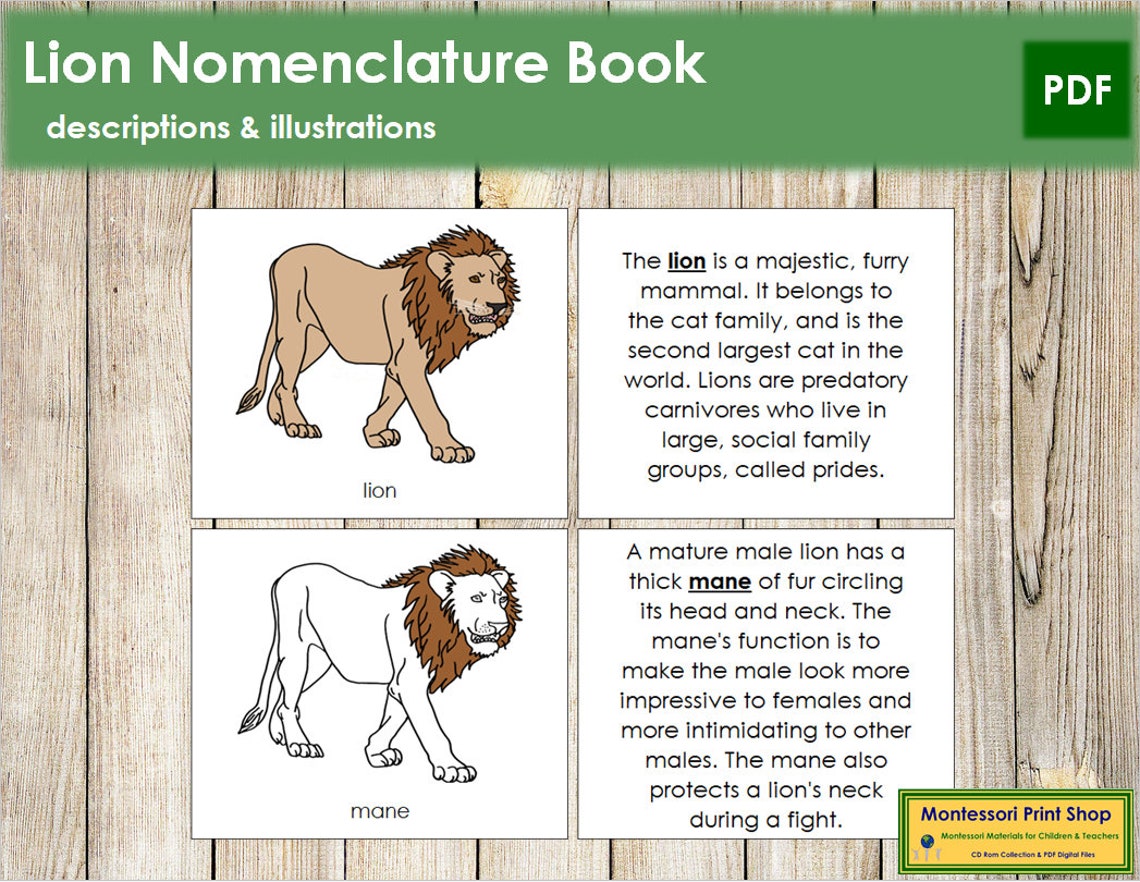 Parts of a Lion Nomenclature Book Montessori Zoology | Etsy