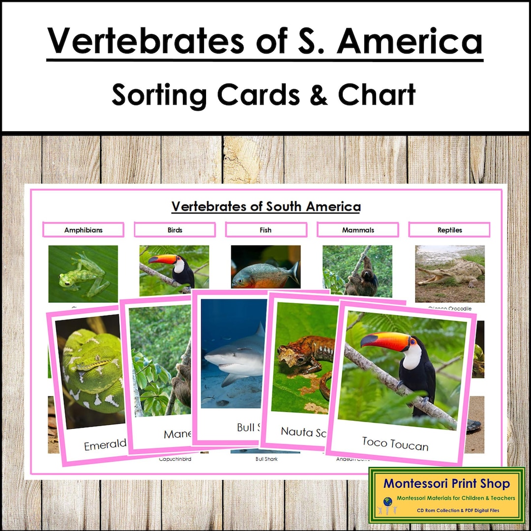 Montessori Vertebrates of South America Sorting Cards & Chart [color ...