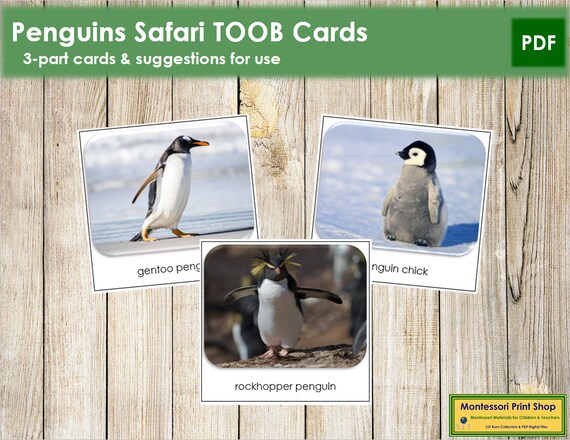 Penguins Safari TOOB Cards Printable Montessori Cards | Etsy