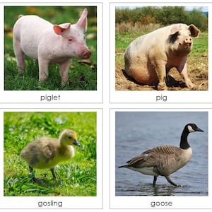 Young & Adult Animal Matching Cards Printable Toddler - Etsy