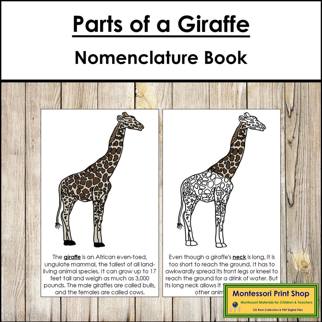 Parts of a Giraffe Nomenclature Book - Montessori Zoology - Printable ...