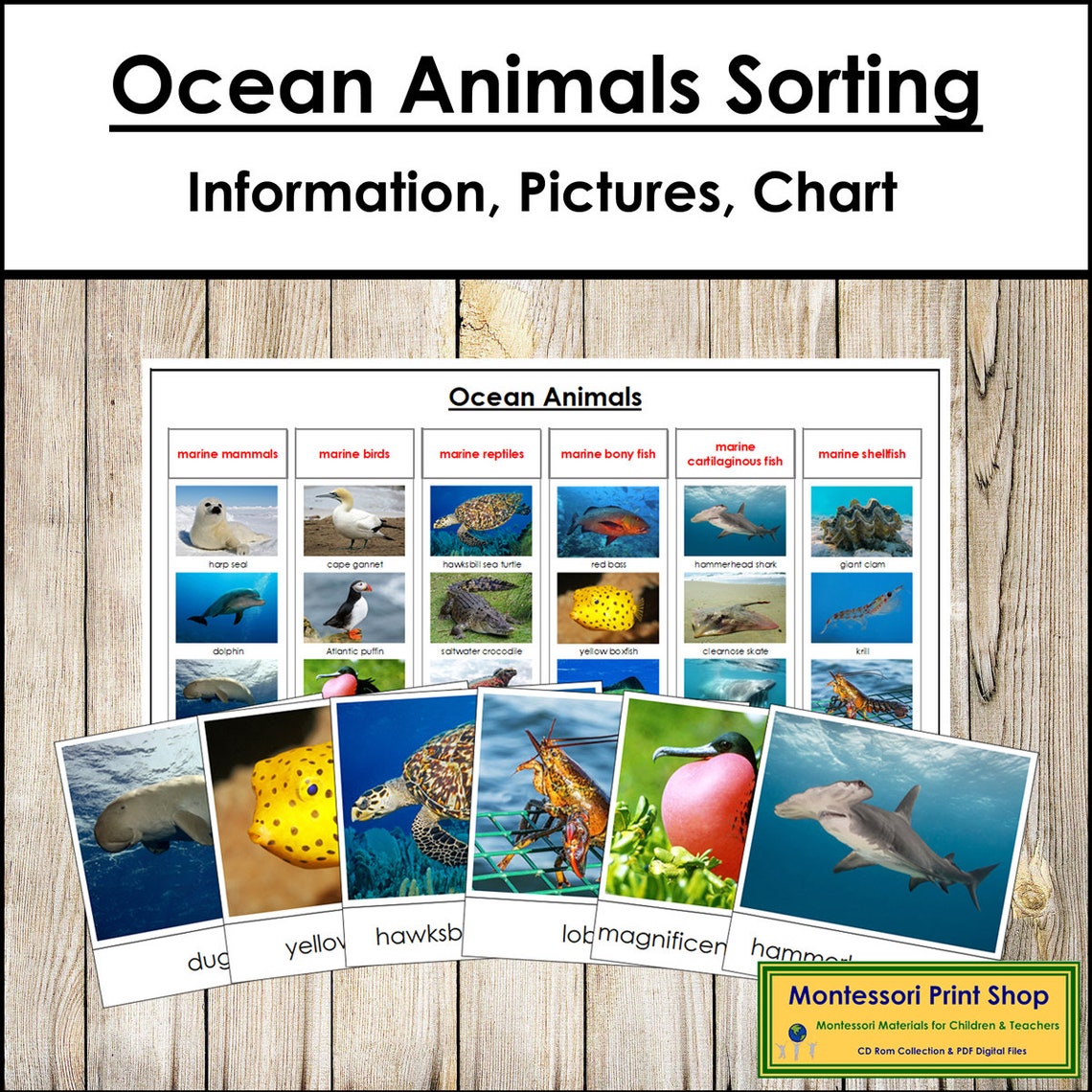 Ocean Animals Sorting Cards & Control Chart - Montessori Marine Biology ...
