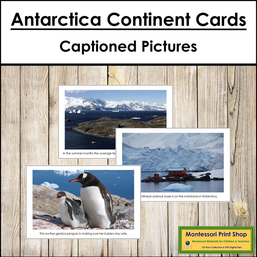 Antarctica Continent Cards - Montessori Geography - Printable ...