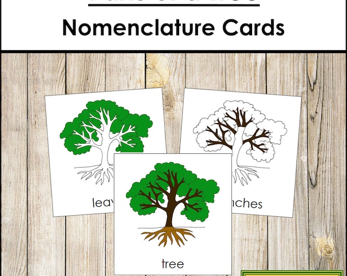 Parts of a Plant Nomenclature 3-part Cards & Blackline Master ...