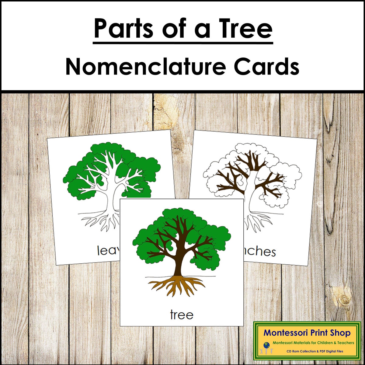 Parts of a Tree Nomenclature 3-part Cards Montessori Botany Printable ...