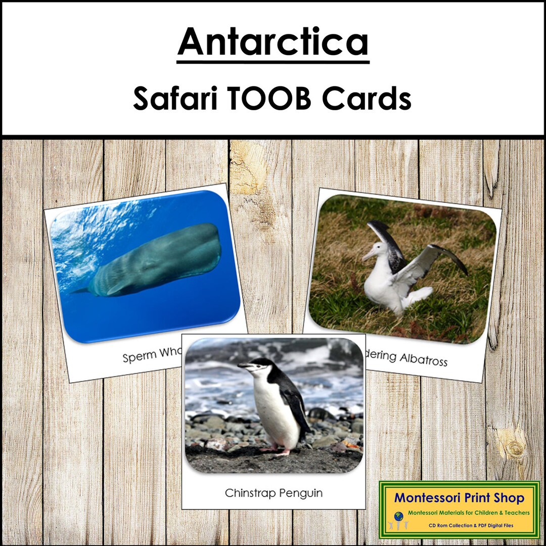 Antarctica Safari TOOB Cards - Printable Montessori Cards - Digital ...