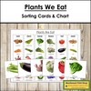 Seed and Plant Matching Cards - Montessori Botany - Printable ...