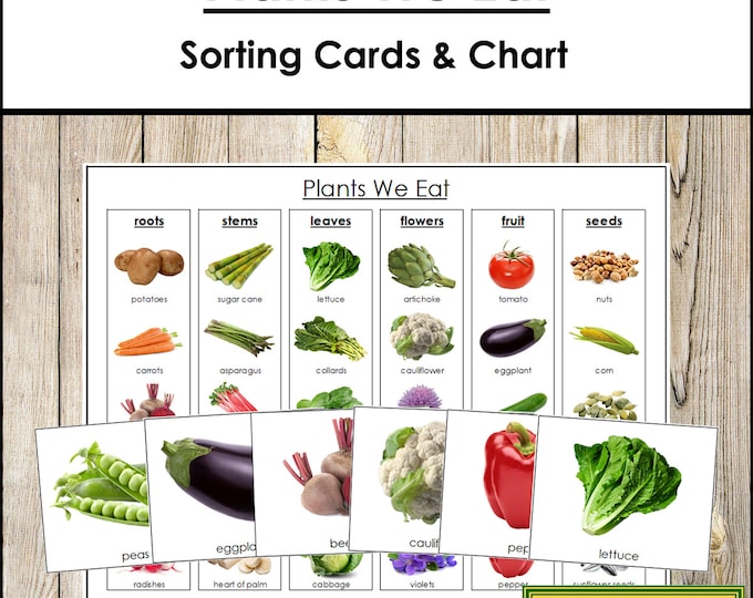 Plant Kingdom Information Cards - Montessori Botany Classification ...
