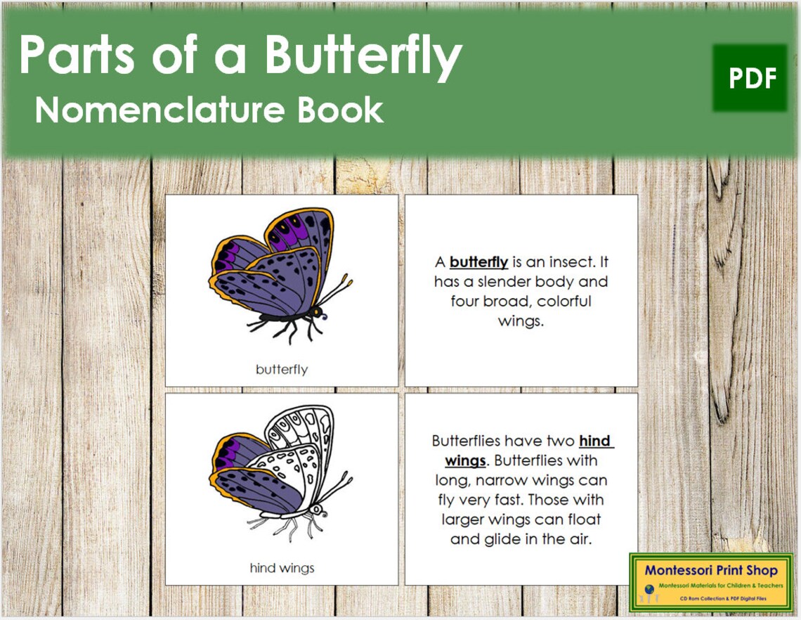 Parts of a Butterfly Nomenclature Book Montessori Zoology - Etsy
