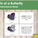 Parts of a Butterfly Nomenclature Book Montessori Zoology - Etsy Canada