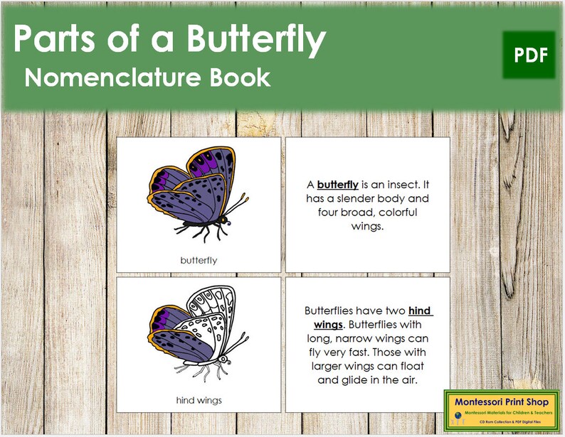 Parts of a Butterfly Nomenclature Book Montessori Zoology - Etsy Canada