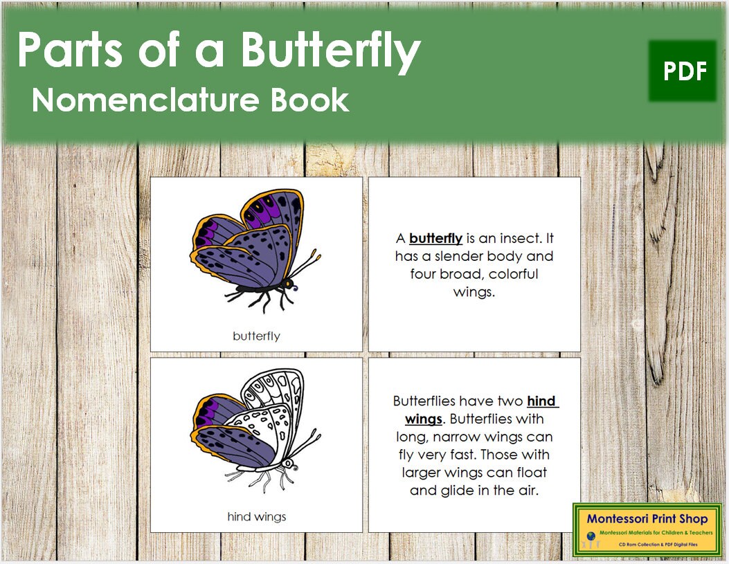 Parts of a Butterfly Nomenclature Book Montessori Zoology - Etsy Canada