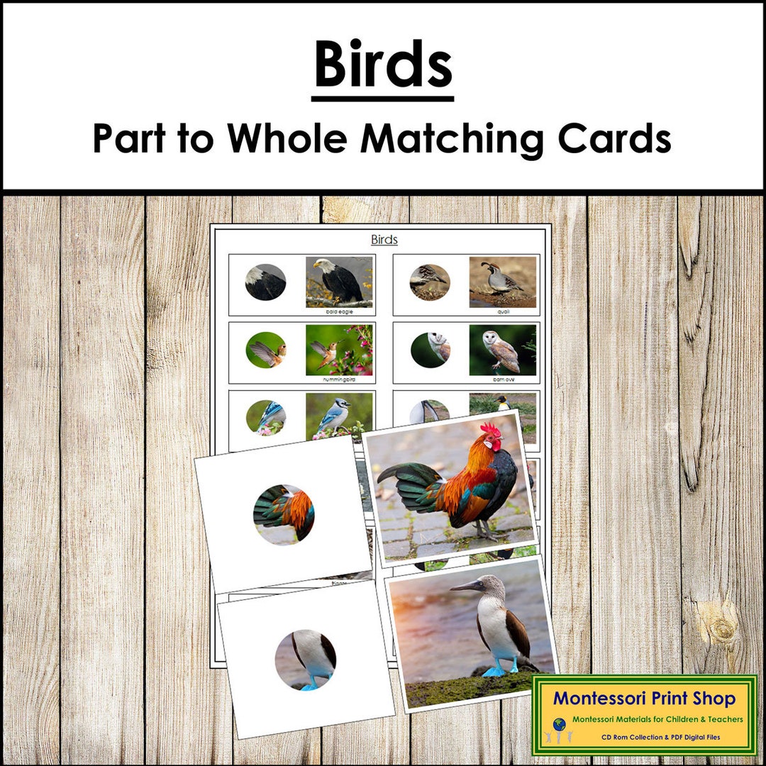 Birds Part to Whole Matching Cards & Control Chart - Montessori Animal ...