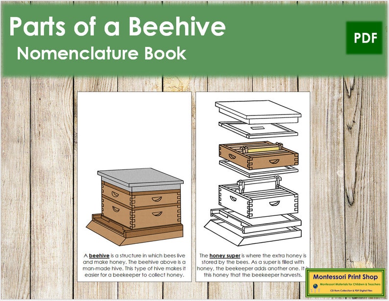 Parts of a Beehive Nomenclature Book Printable Montessori - Etsy