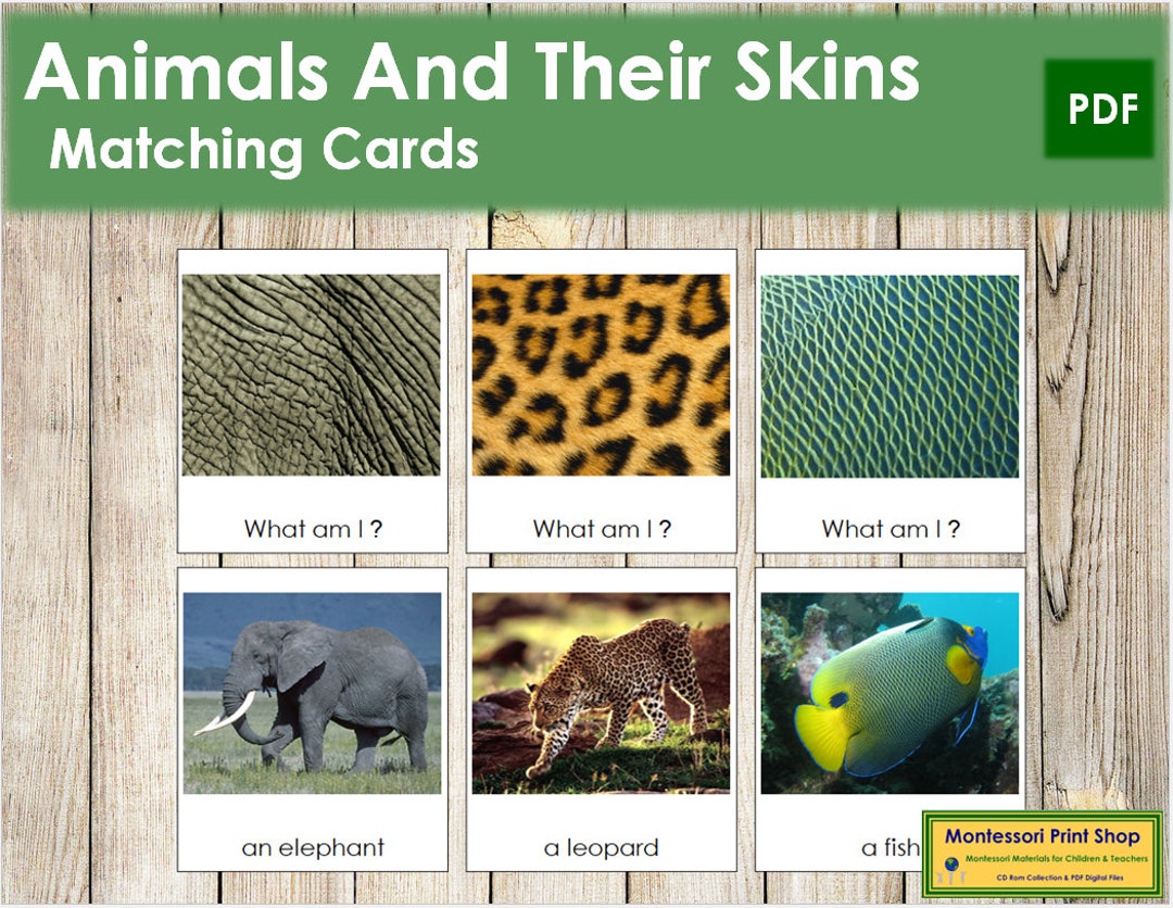 Animals and Their Skin Matching Cards Zoology Printable - Etsy