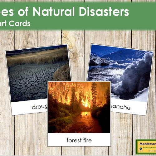 Types of Weather Nomenclature 3-part Cards Science - Etsy