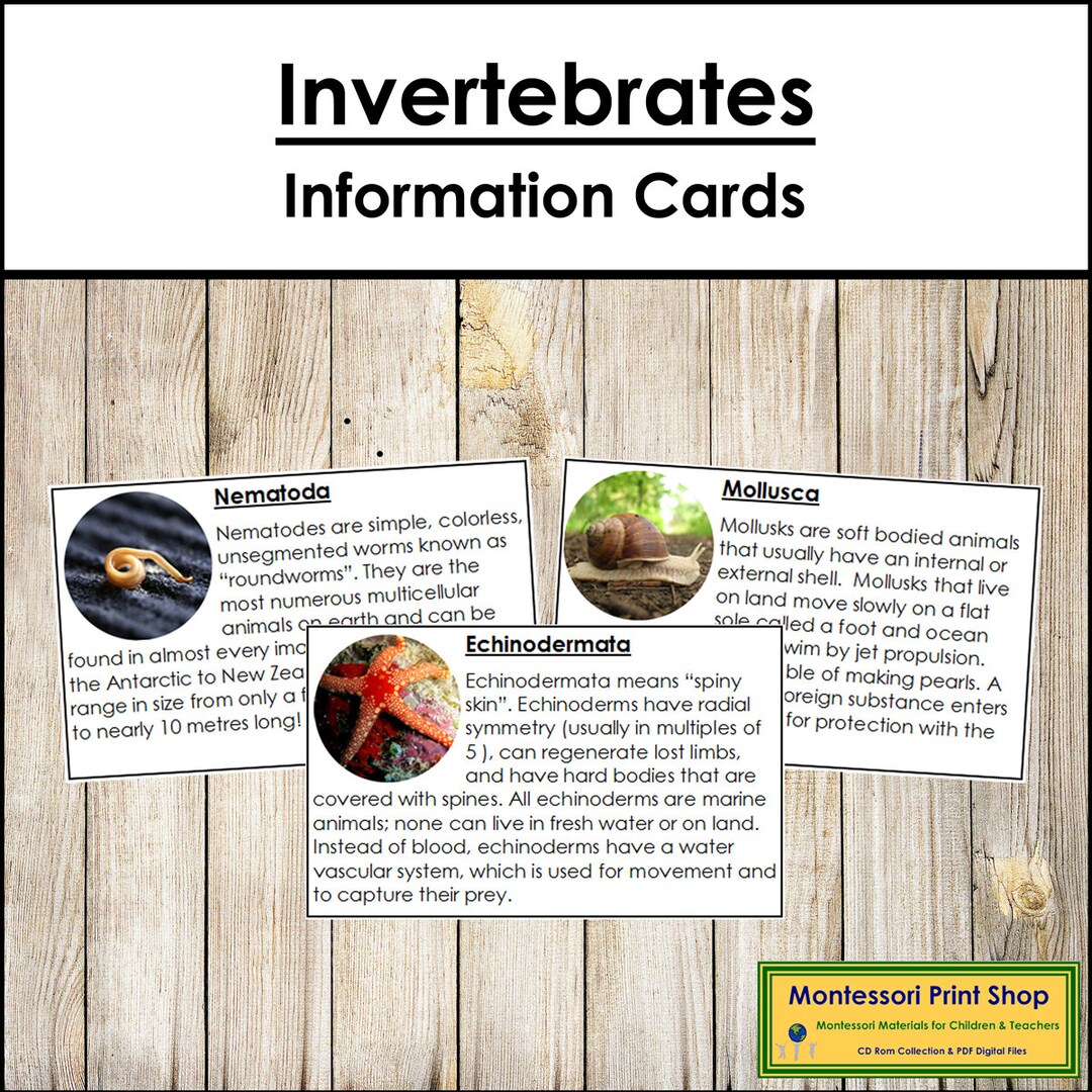 Invertebrates Information Cards - Montessori Zoology Classification ...