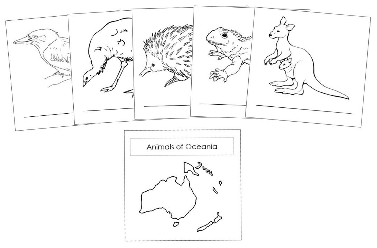 Animals of the Continents Booklets blackline Masters - Etsy