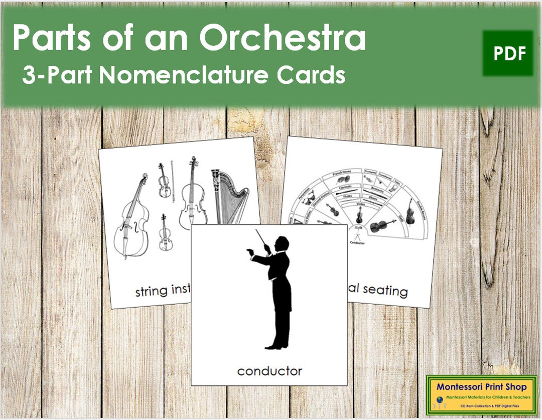 Orchestra Nomenclature 3-part Cards Music Nomenclature - Etsy