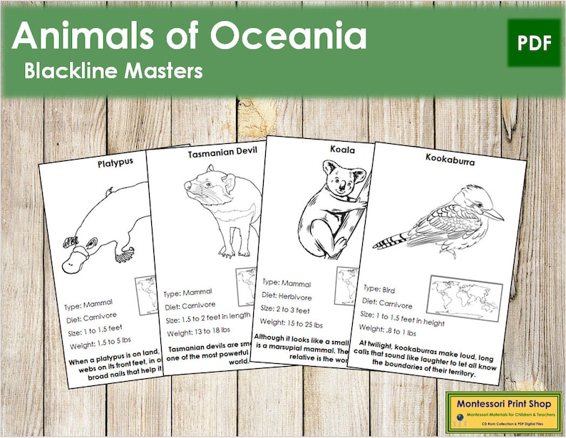Animals of Australia/oceania Facts & Picture Cards blackline - Etsy