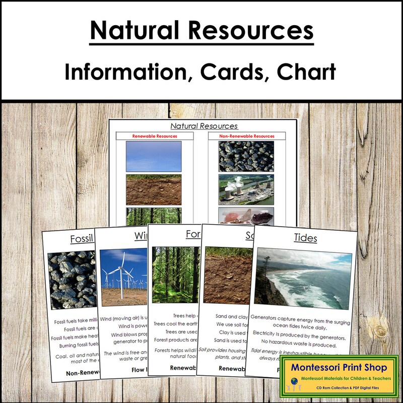 Natural Science - Etsy