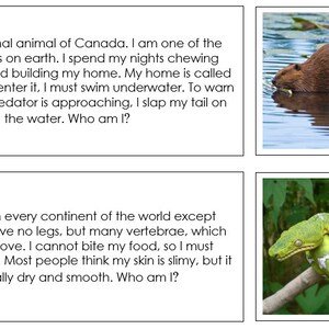 Animal Stories Set 1 - Zoology - Printable Montessori Cards - Digital ...