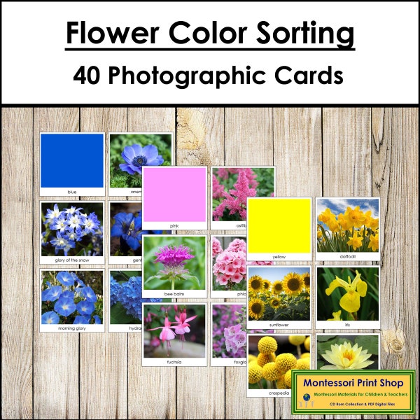 Color Sorting - Etsy