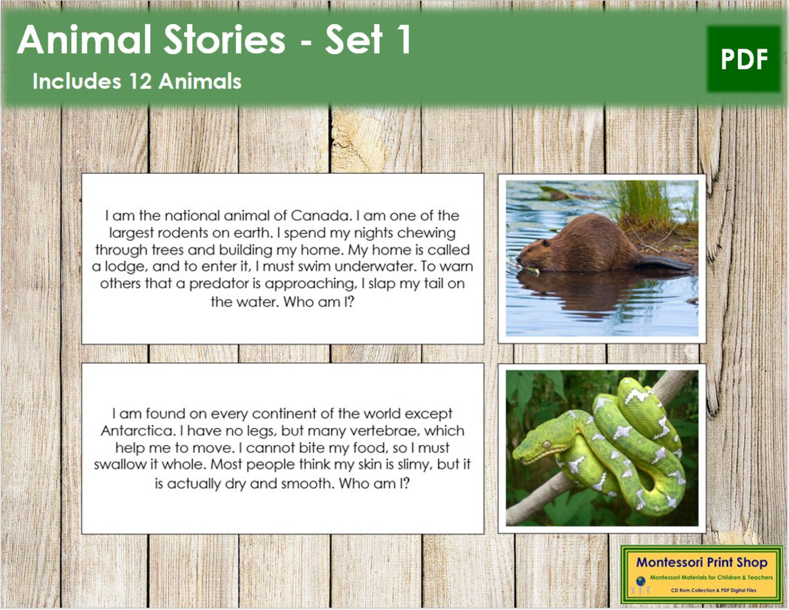Animal Stories Set 1 Zoology Printable Montessori Cards | Etsy