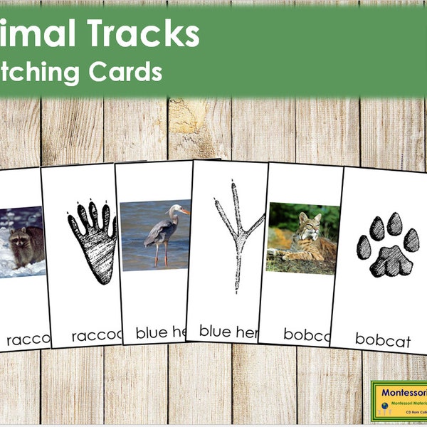 Animal Tracks - Etsy