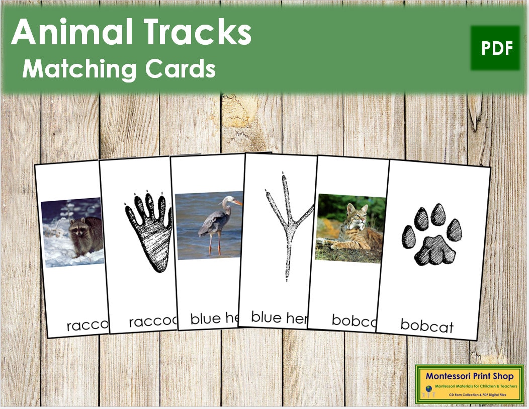 Animal Tracks Matching Cards footprints Zoology - Etsy