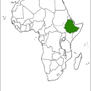 Map of Africa Flashcards [montessori Color-code] - Geography Continent ...