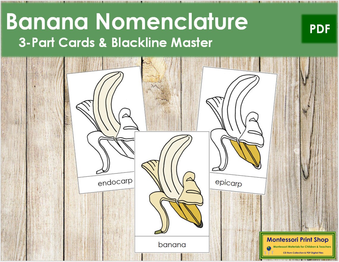 Parts of a Banana Nomenclature 3-part Cards Montessori - Etsy