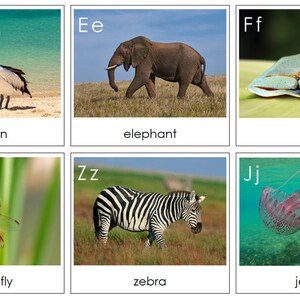 Phonetic Animal Alphabet Cards Printable Pre-reading Montessori Cards ...