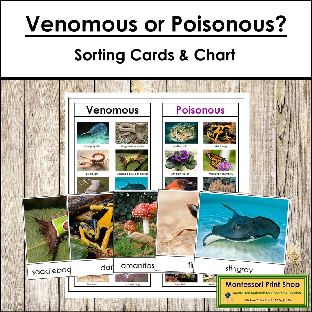 Venomous or Poisonous? Animals and Plants Sorting Cards & Control Chart ...