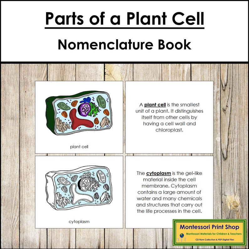 Parts of a Plant Cell Nomenclature Book Science Printable - Etsy Canada