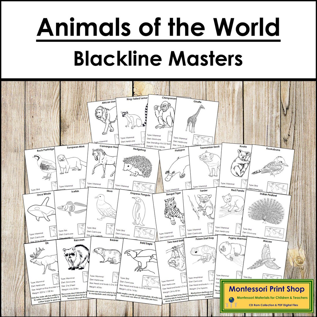 Animals of the World Information Cards Bundle (blackline Masters ...