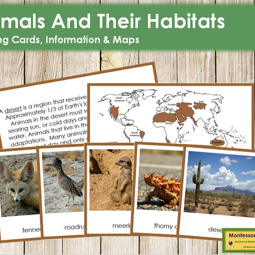 Animals and Their Skin Matching Cards Zoology Printable - Etsy