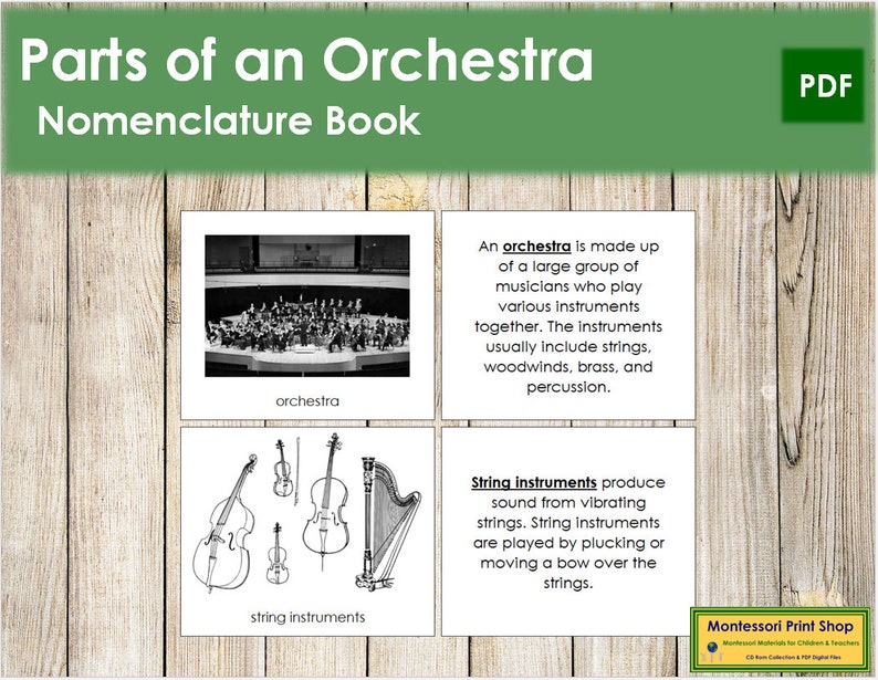Orchestra Nomenclature Book Music Nomenclature Printable - Etsy