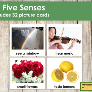 My Five Senses Book Printable Toddler Montessori Cards - Etsy