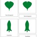 Montessori Botany Cabinet Nomenclature 3-part Cards - Leaf Shapes ...