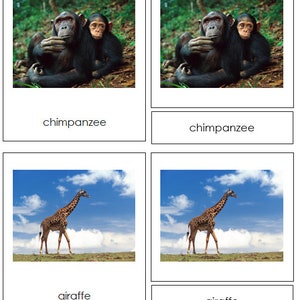 Africa Deluxe Continent Bundle Geography Printable | Etsy