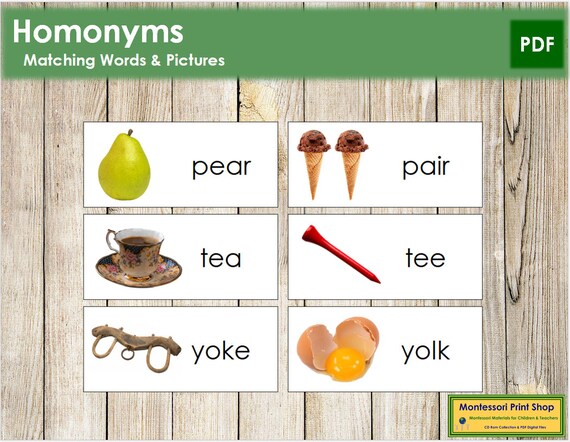 Homonym Words & Picture Cards Montessori Grammar Printable - Etsy