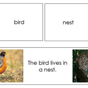 Animals and Their Homes Matching Cards - Montessori Zoology (digital ...