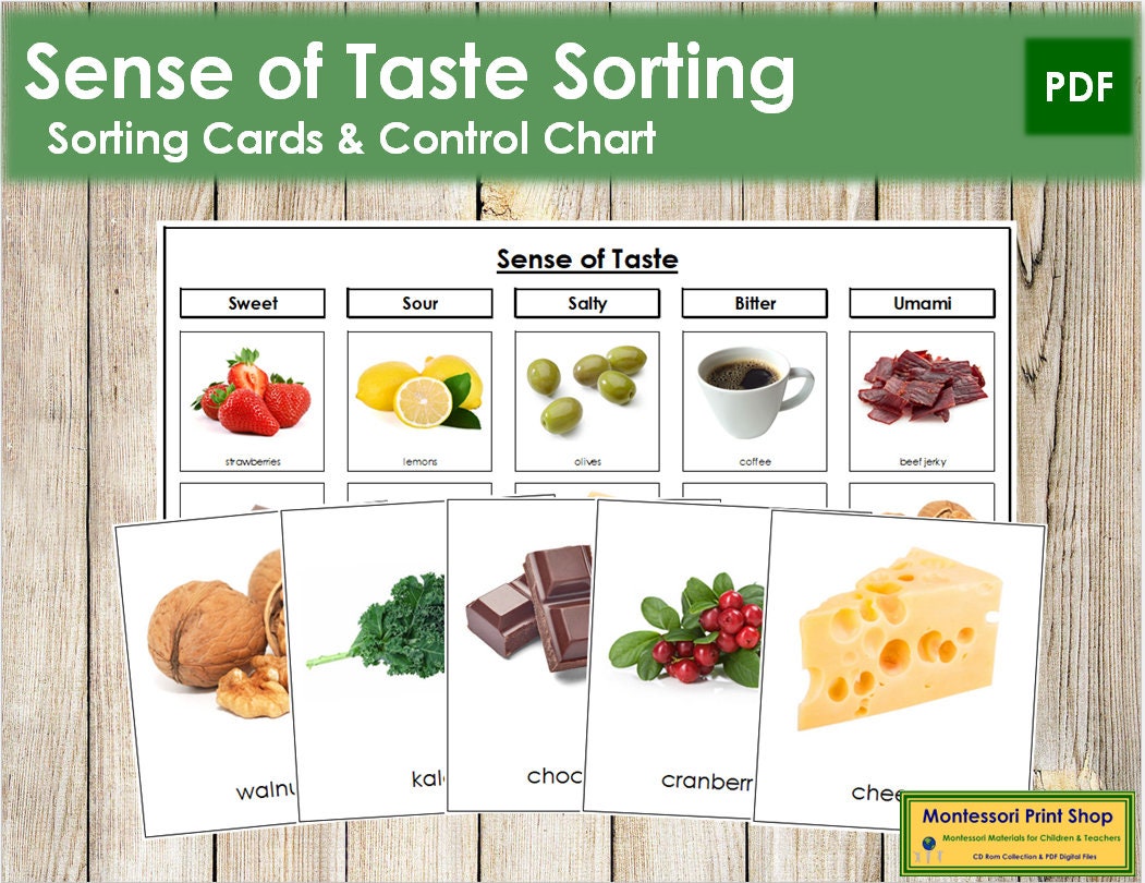 Sense of Taste Sorting Cards & Control Chart Science - Etsy